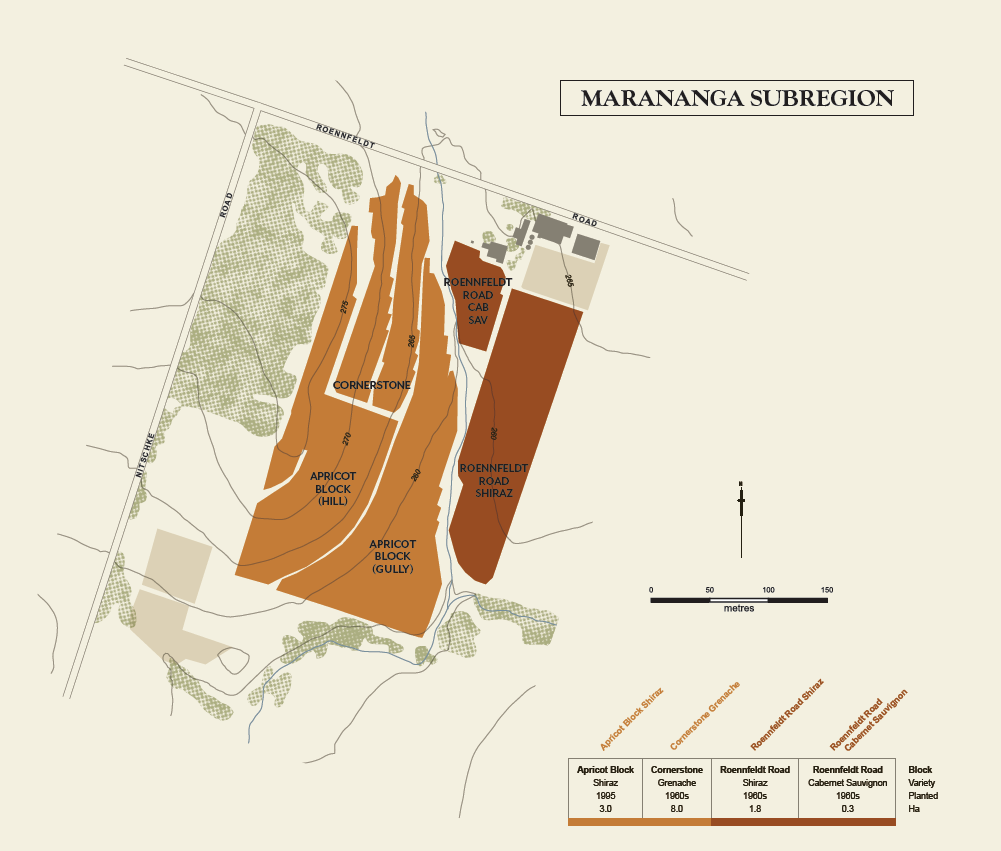 Vineyard – Greenock Creek Wines